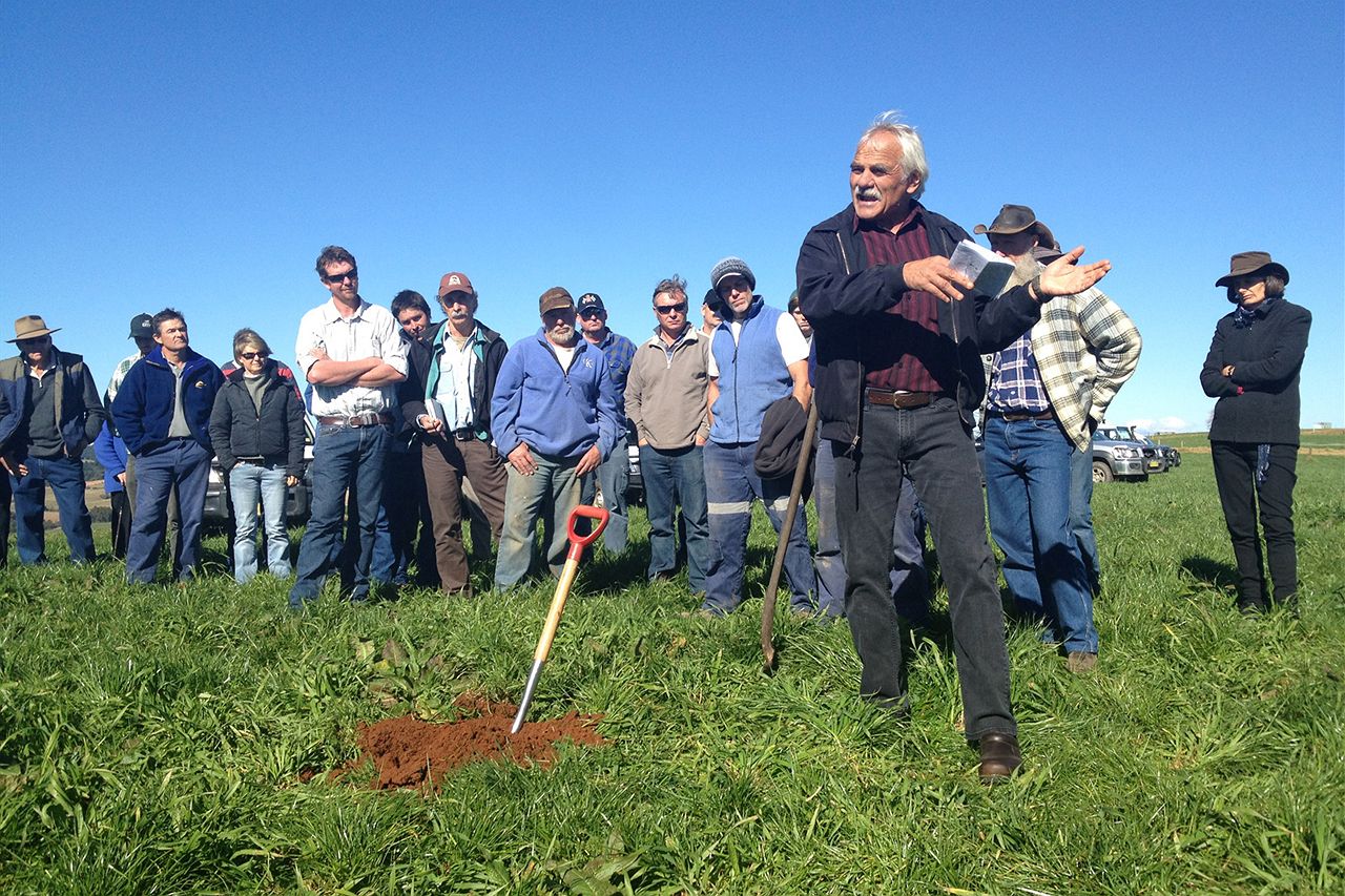 The Zimmer Effect - ABC News