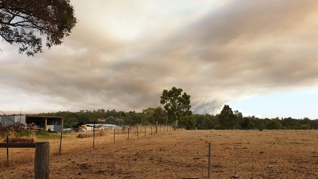 A huge fire north of Collie is burning through large swathes of dense ...