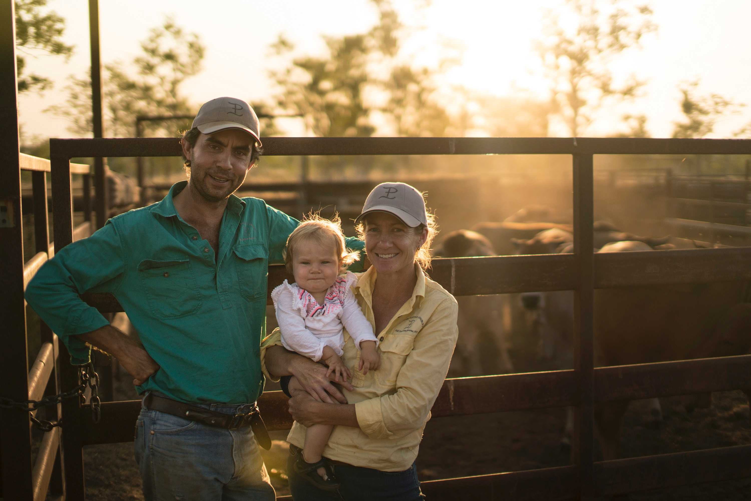 Cattle family starts abattoir on station to disprove Top End beef myth ...