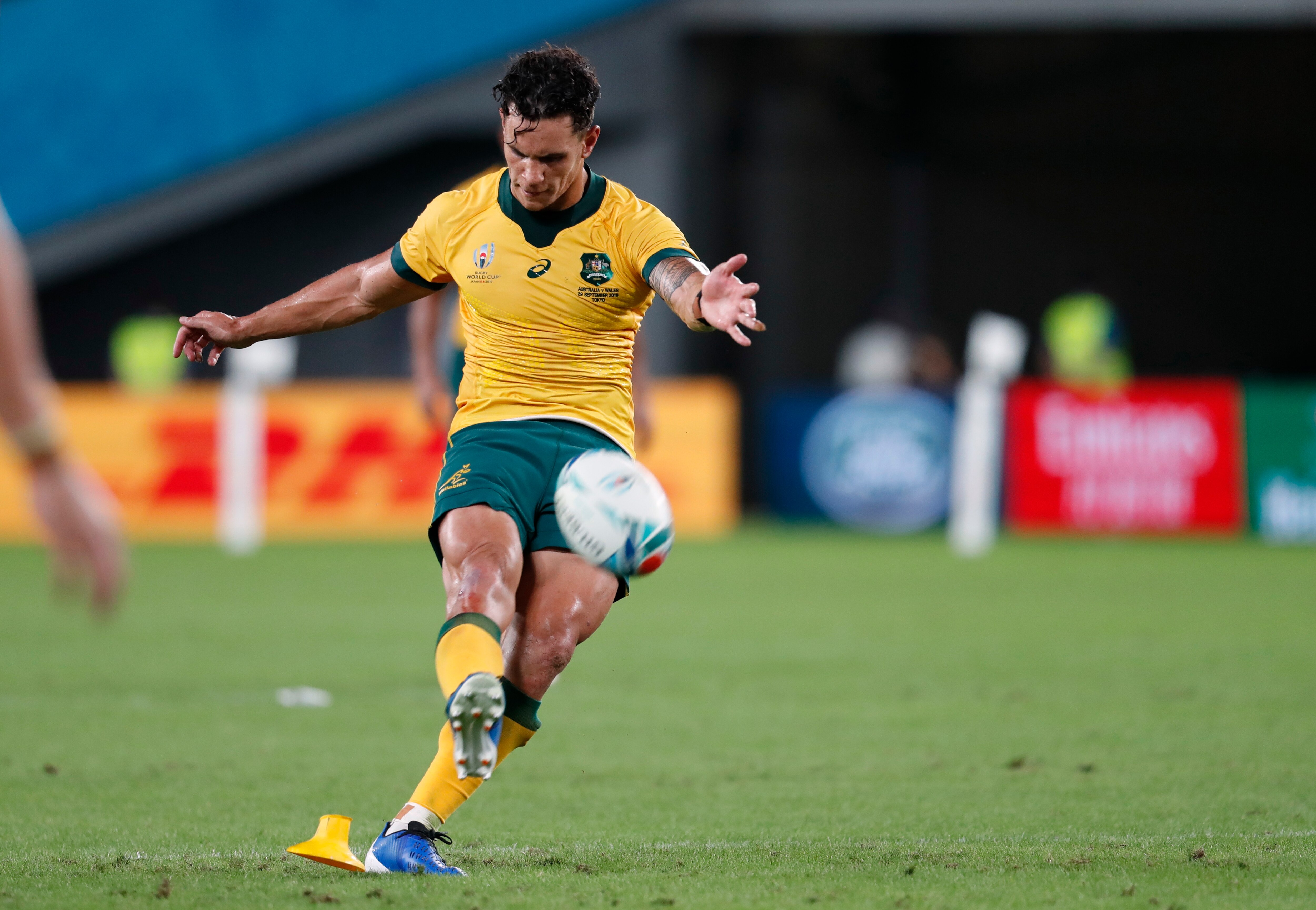 The road to Wallabies redemption: Joe Powell finds his feet at the ...