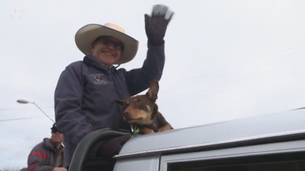 Stars of hit ABC TV program Muster Dogs appear at Casterton Kelpie ...