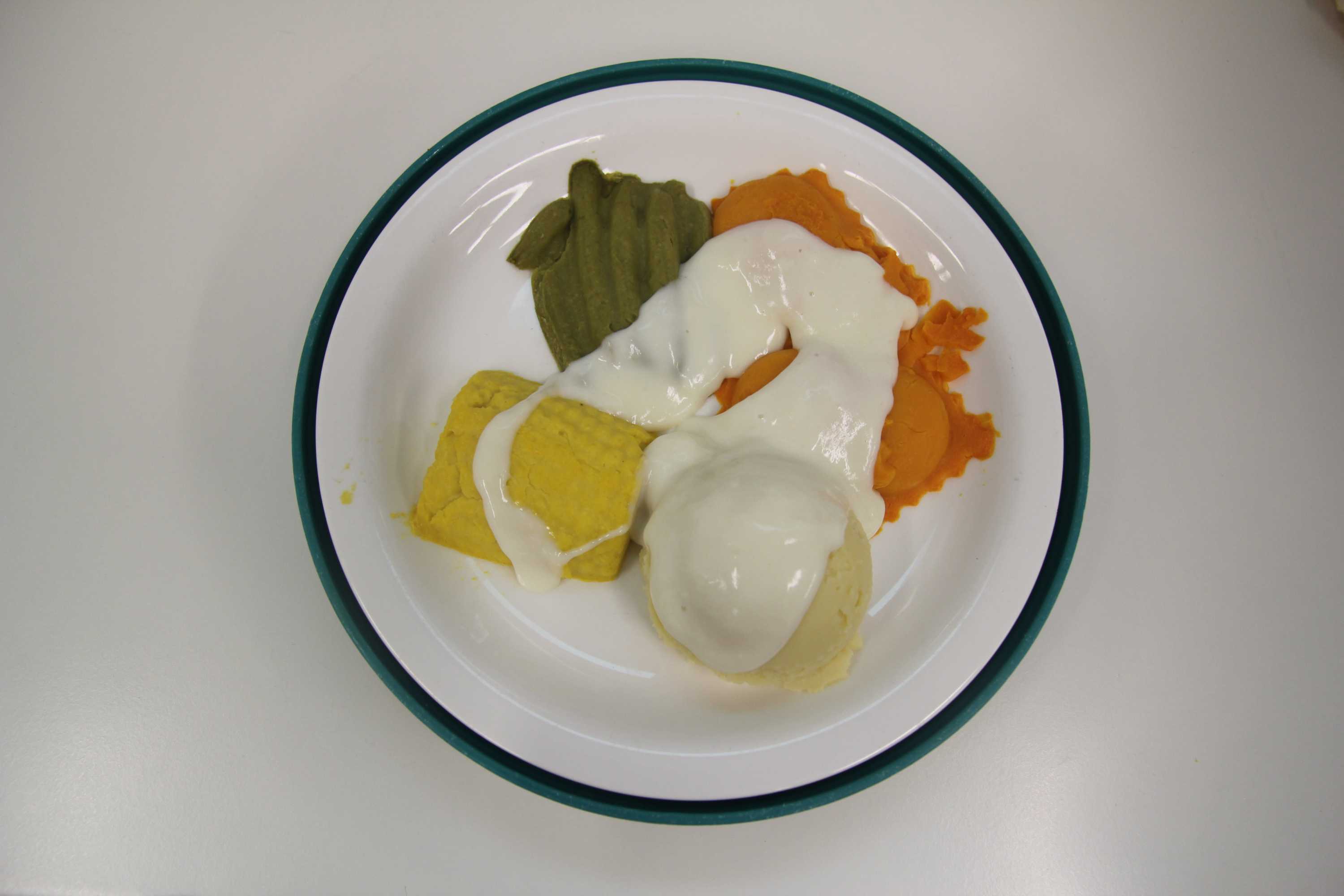 Pureed Hospital Food