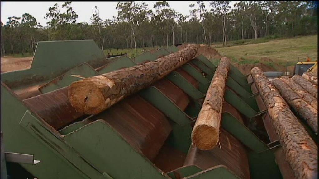 Tas timber company sets up sawmill in central Qld - ABC News