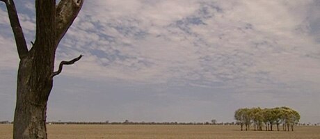 Tasmanian Country Hour - ABC listen