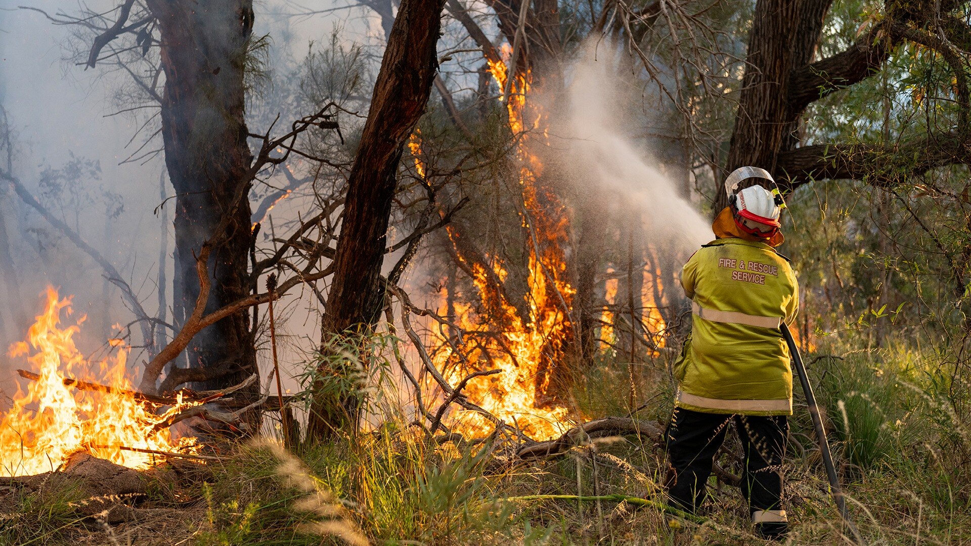 Kings Park fire being treated as suspicious as images show bushland ...