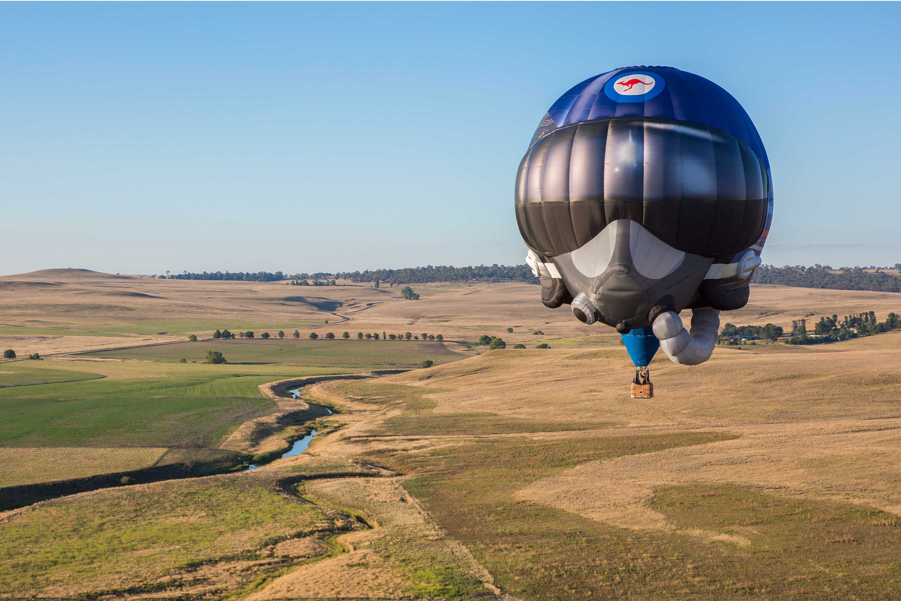 Canberra Balloon Spectacular: Air Force jet fighter helmet balloon ...