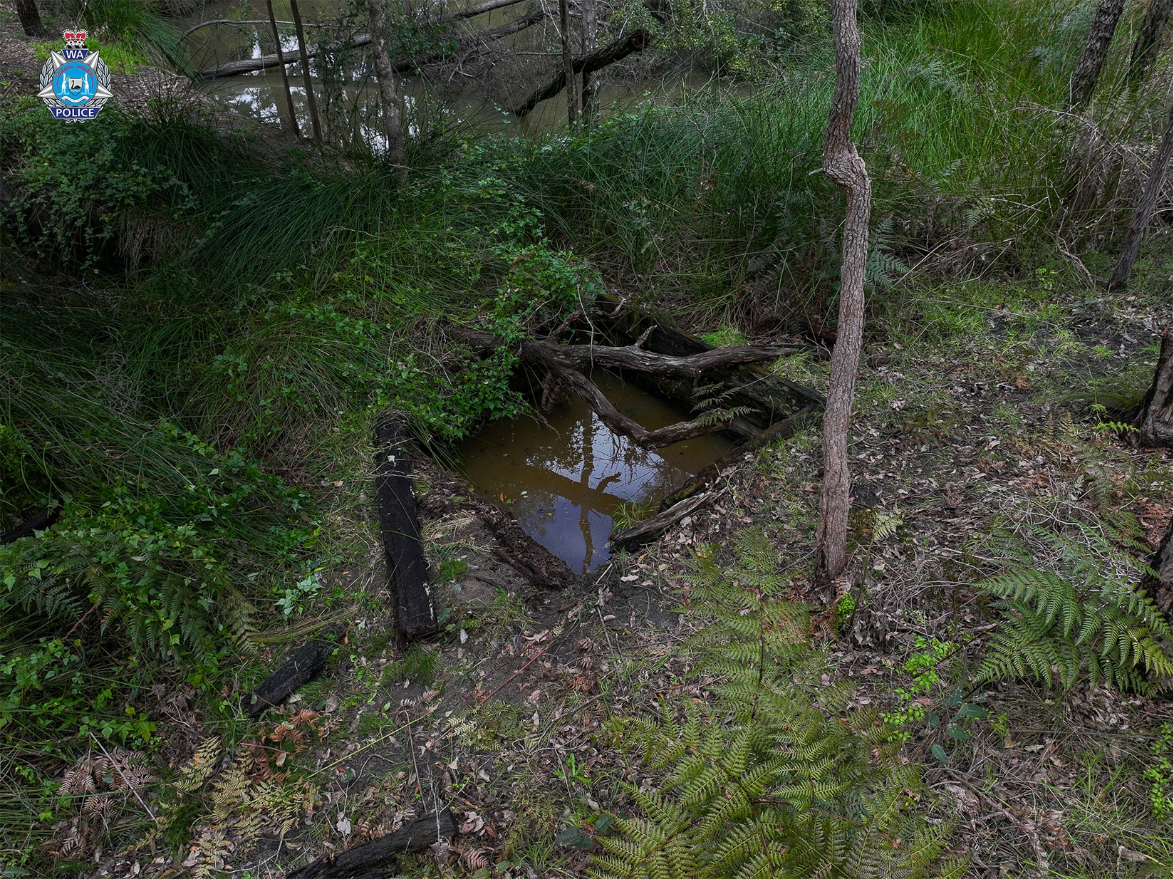 Police call for information about man seen talking to Collie schoolgirl ...