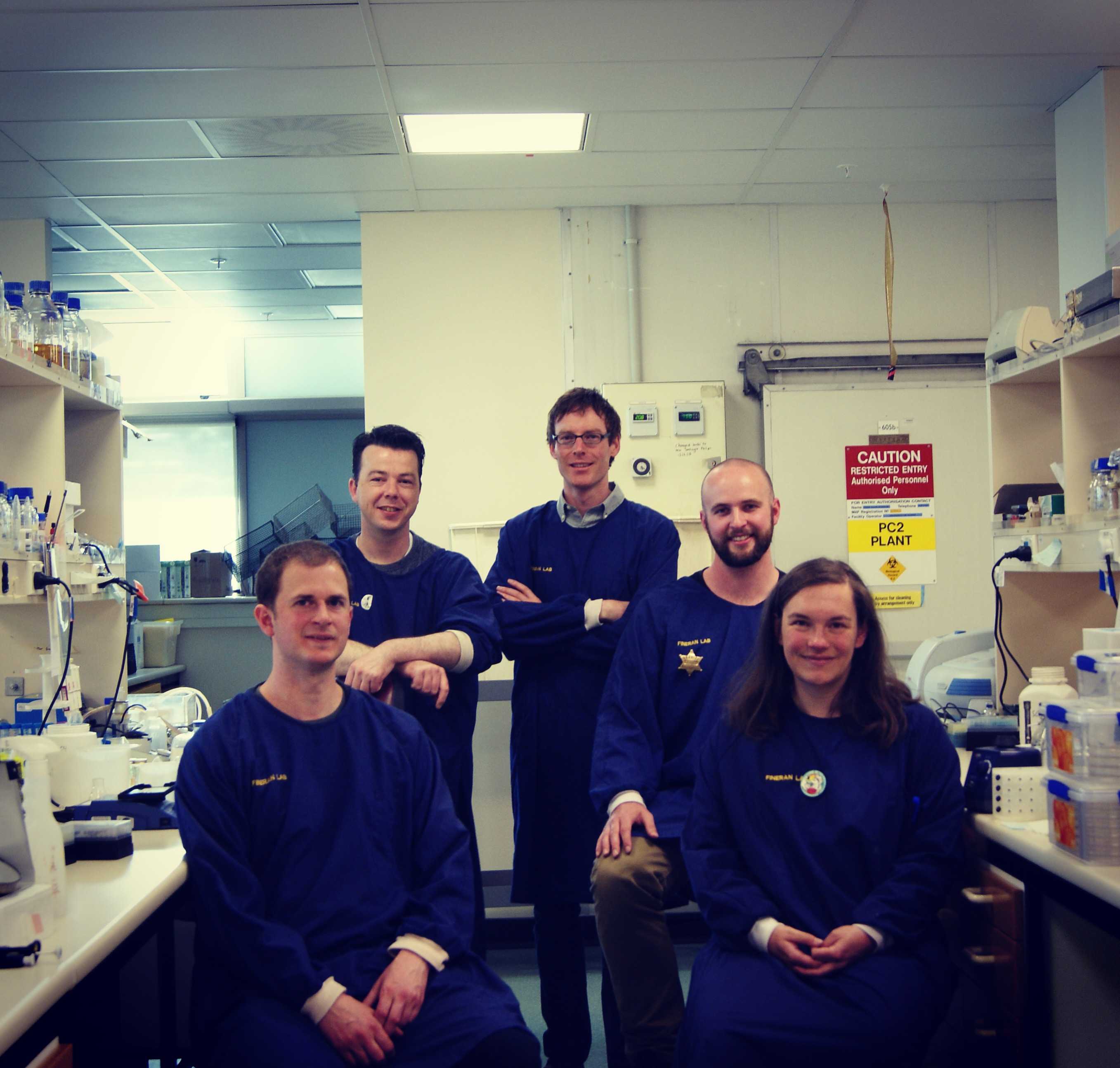 CRISPR gene editing adapted from bacteria - ABC listen