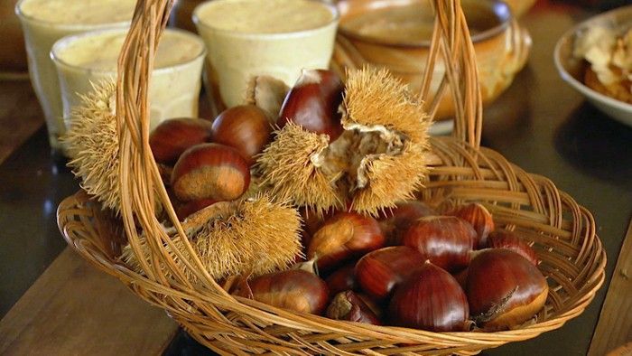Victorian Country Hour - ABC listen