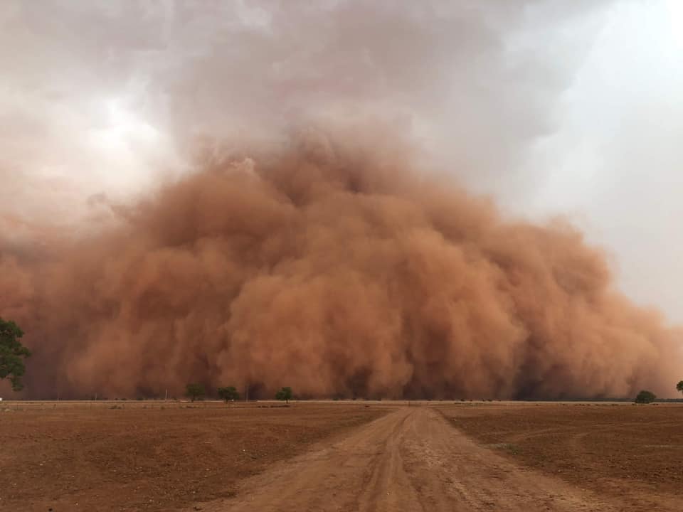 BOM tells Dubbo to expect rain, but massive dust storm sweeps through ...