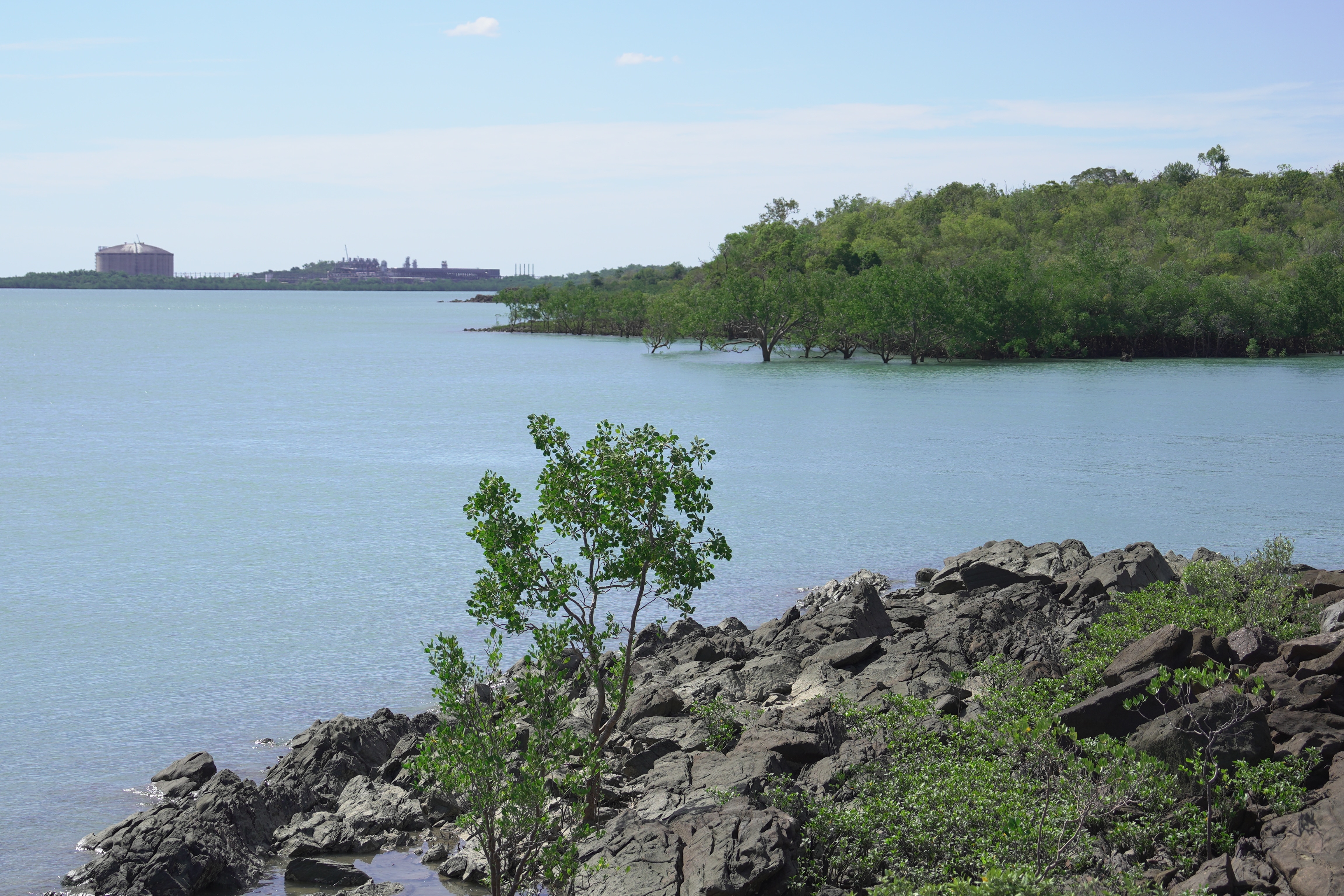 NT leprosy case sparks outrage over disparity in Indigenous health ...