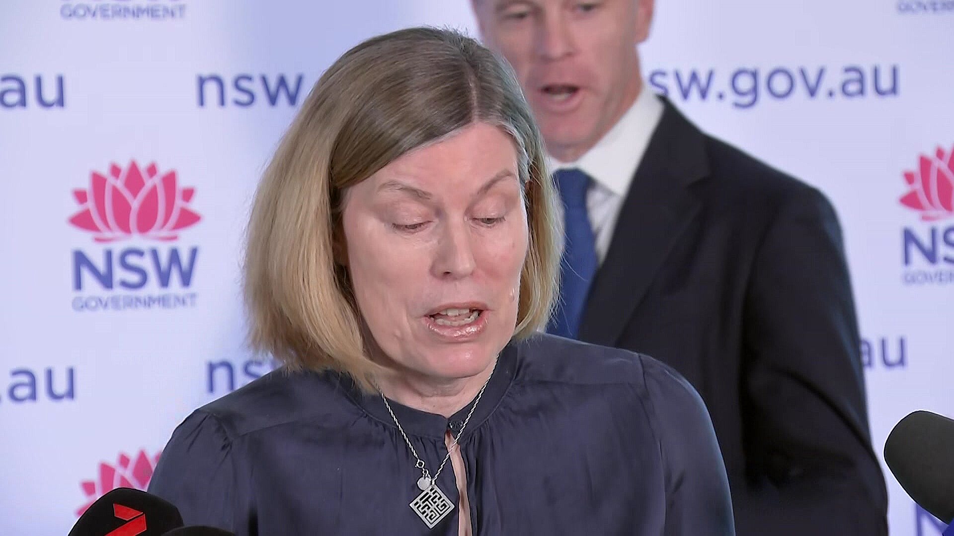 NSW chief health officer Kerry Chant 'very happy' to front federal ...
