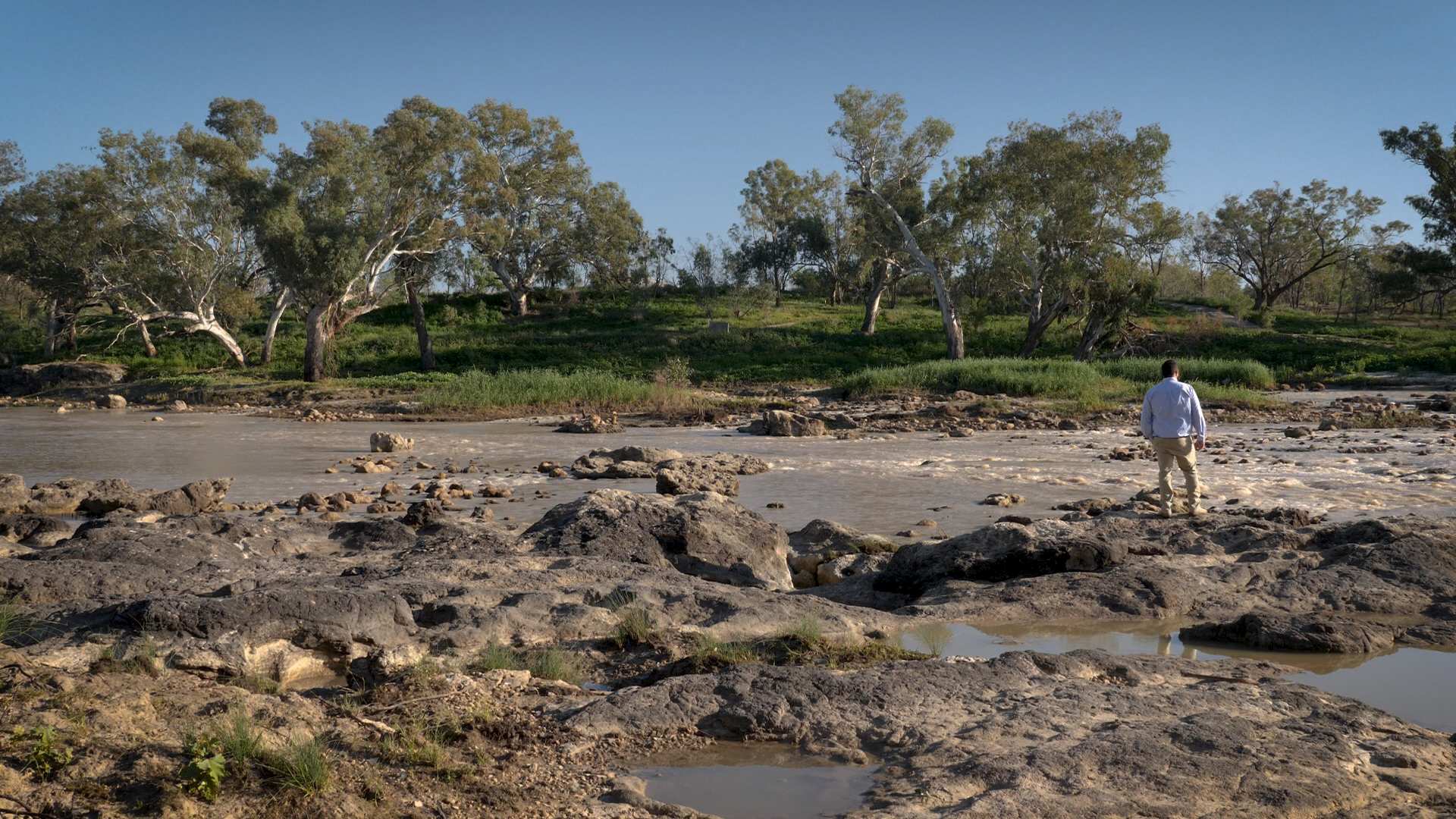 Darling River wildlife, vegetation show signs of life as they come back ...
