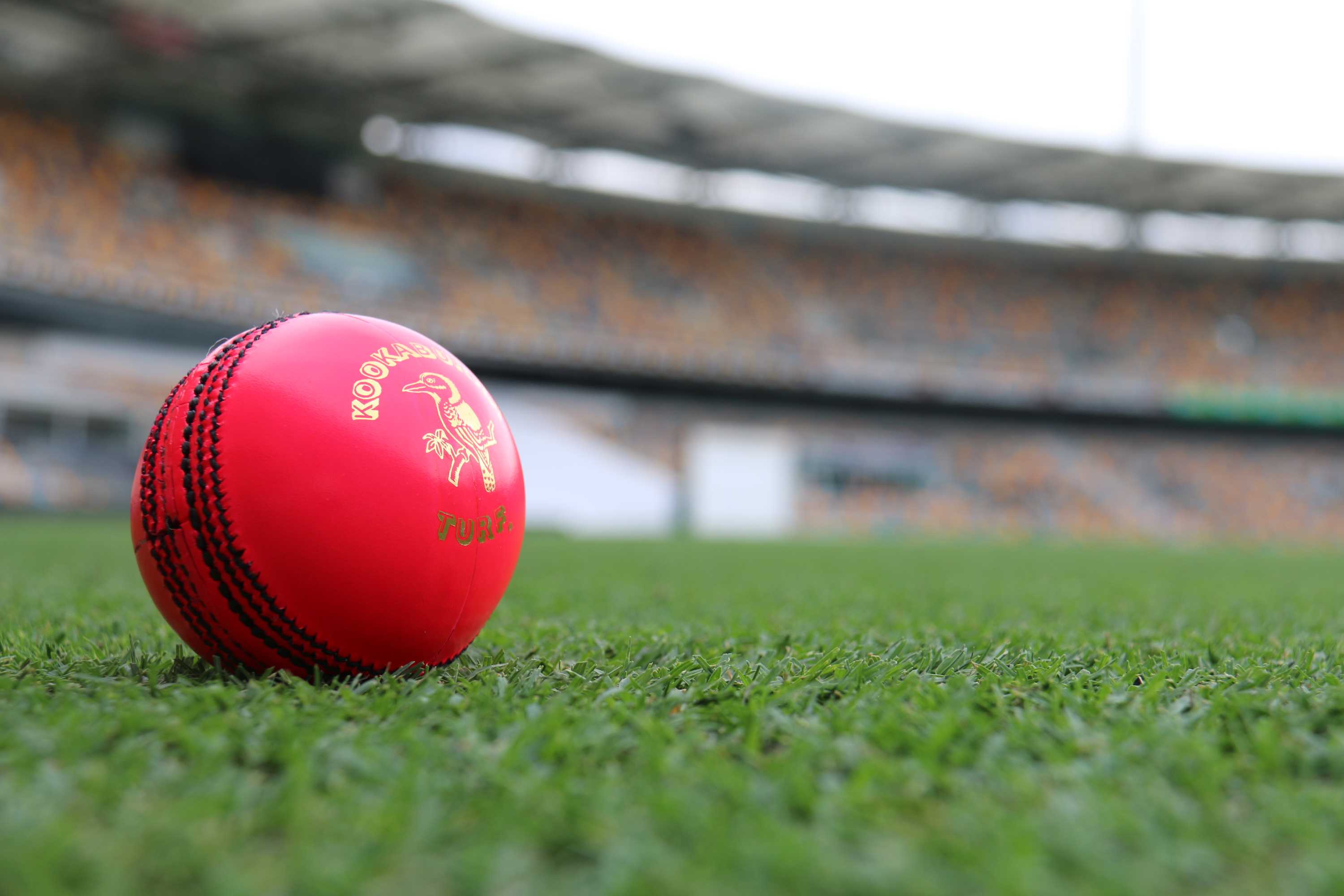 Why Adam Collins and Geoff Lemon risked a house deposit to broadcast a ...