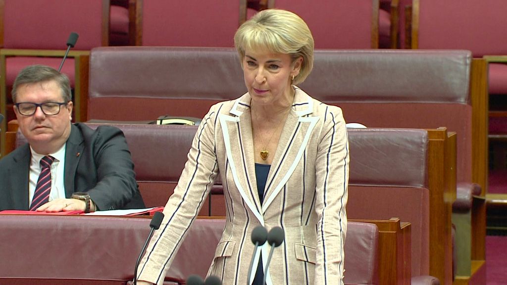 Michaelia Cash speaks in the Senate about incoming ACT drug ...