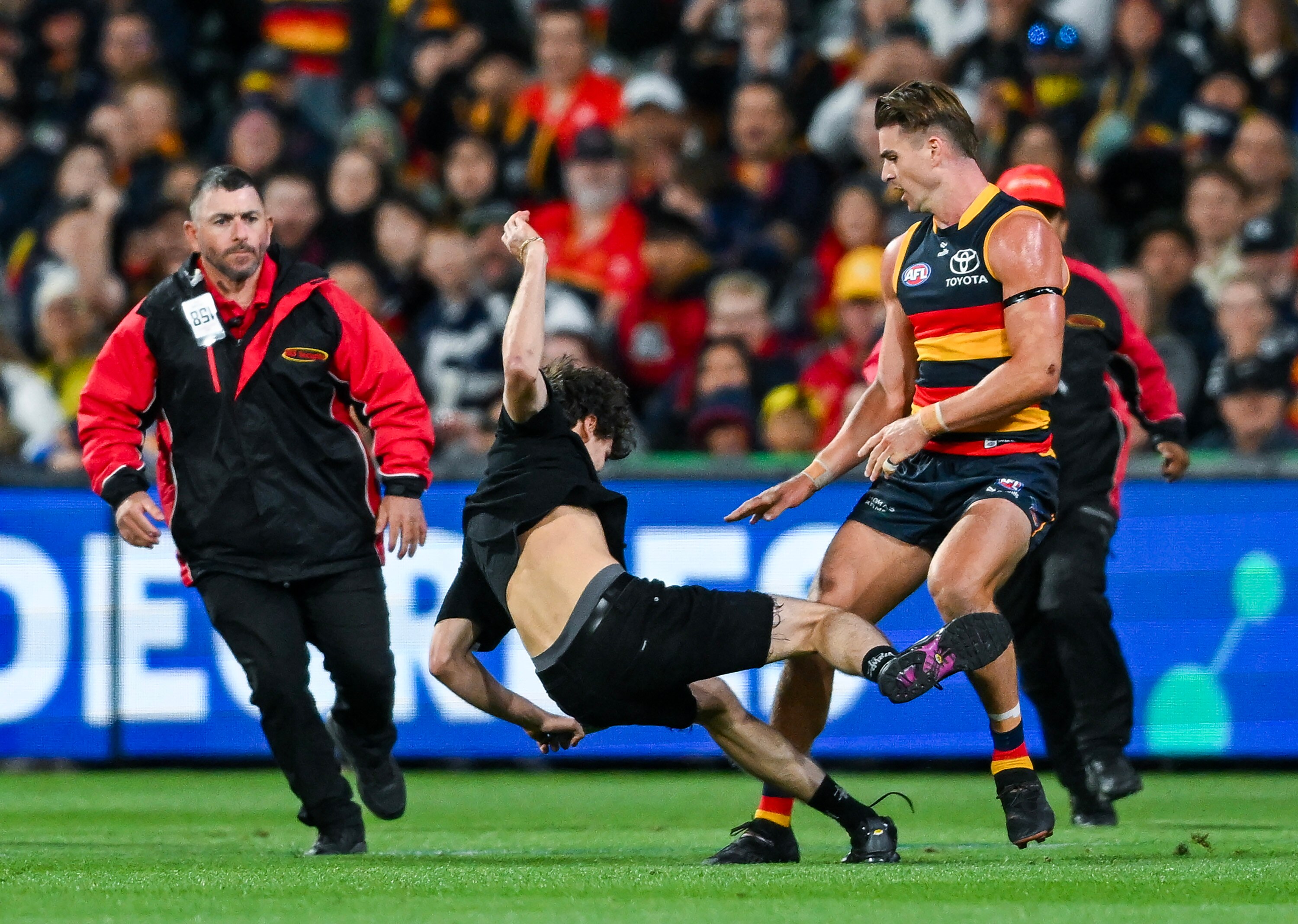 AFL coaches slam Adelaide Oval pitch invader amid player safety ...