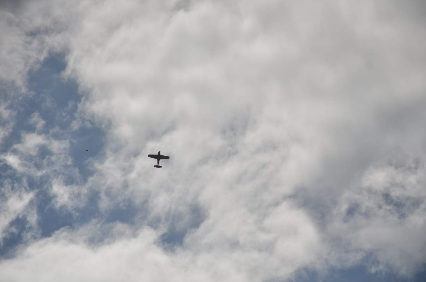 Ben Buckley: voting is a crime - ABC listen
