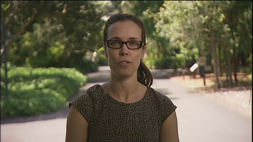 Pancreatic cancer hope - ABC News