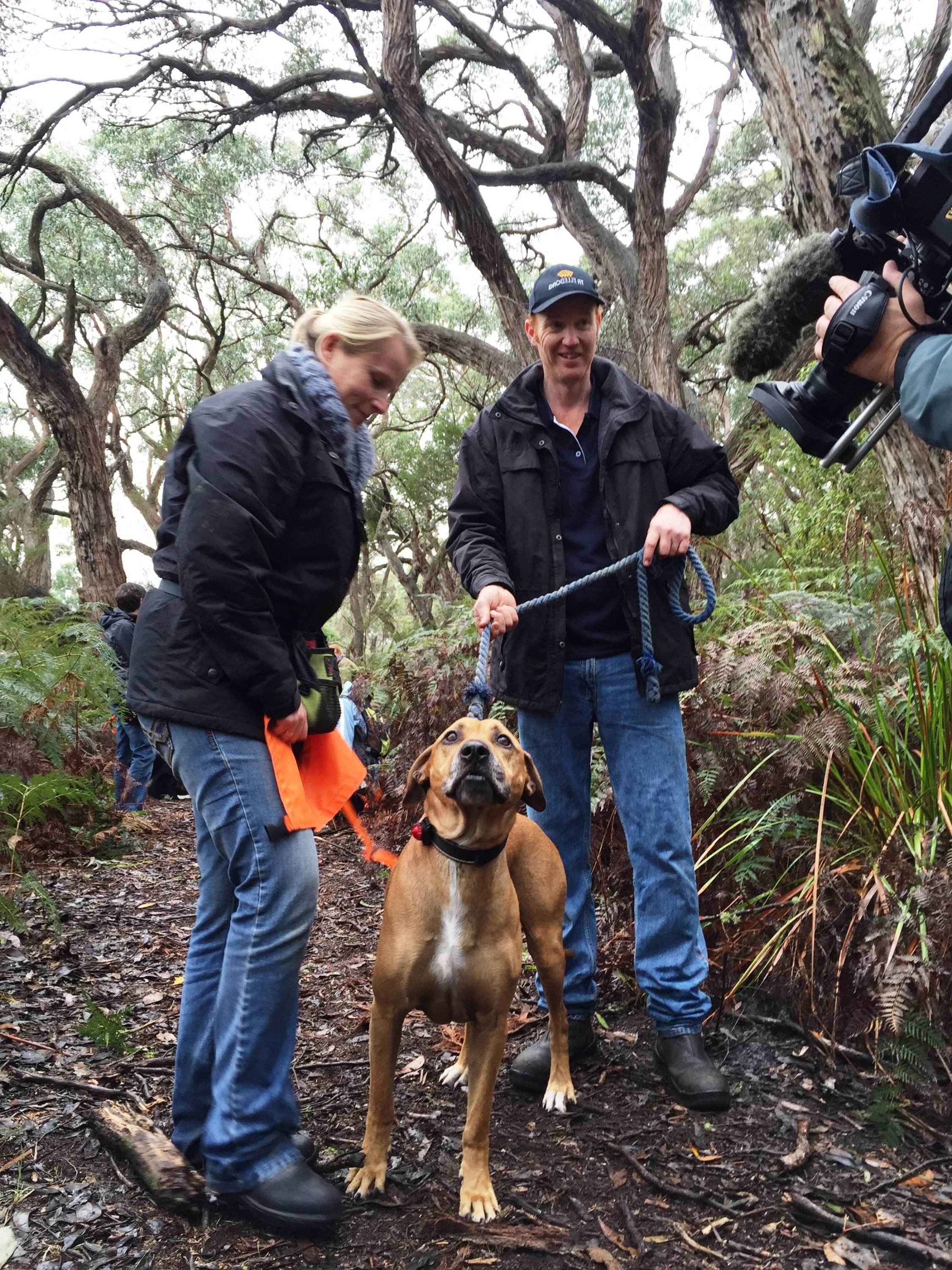 What do the Australian Ploughing Championships and conservation in the ...