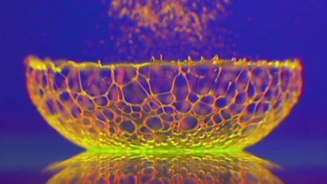 The power of science photography - ABC Education