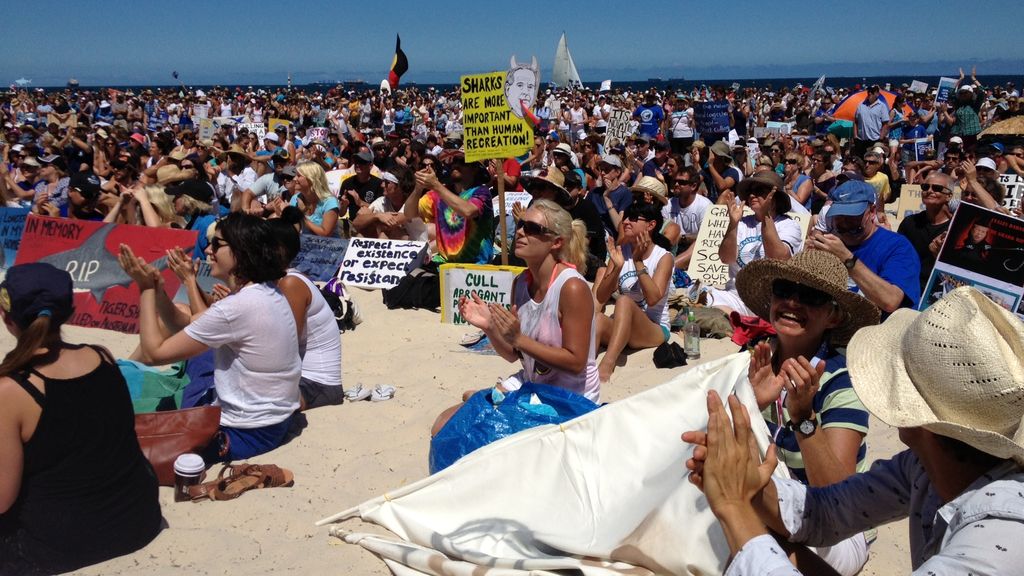 Anti-shark culling protest in Perth attracts thousands - ABC News