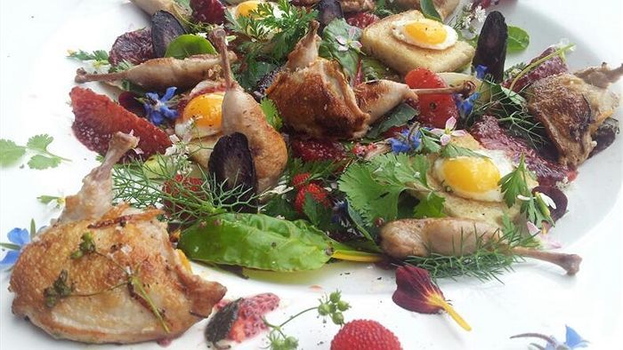 Quail with Fennel and Blood Orange - ABC Everyday