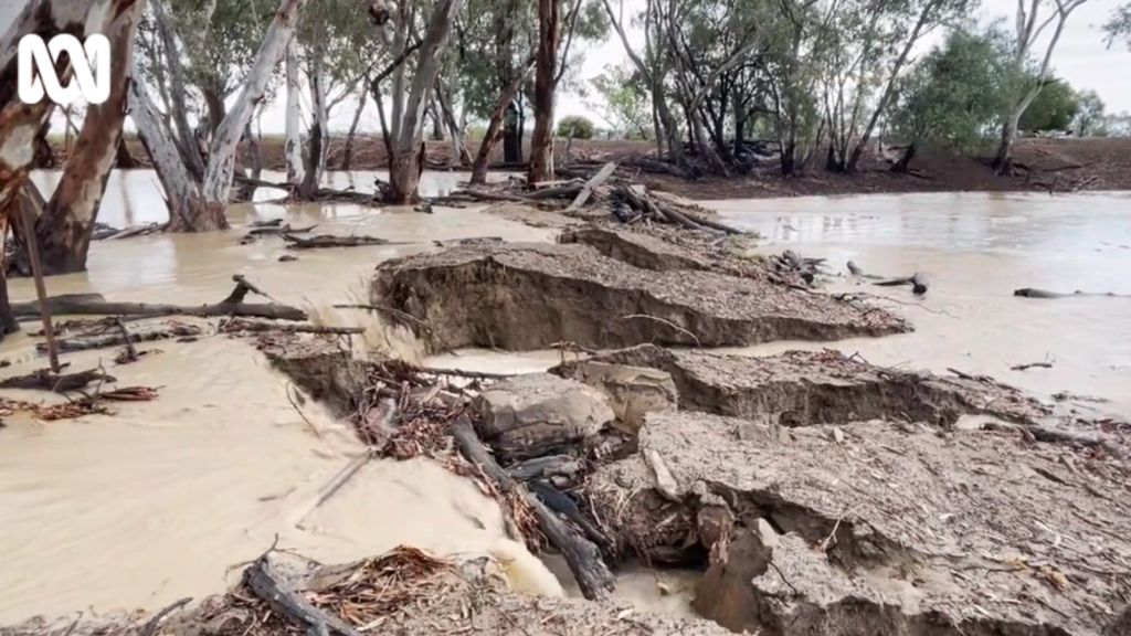 Heavy rain sweeps through Tambo, outback Queensland - ABC News
