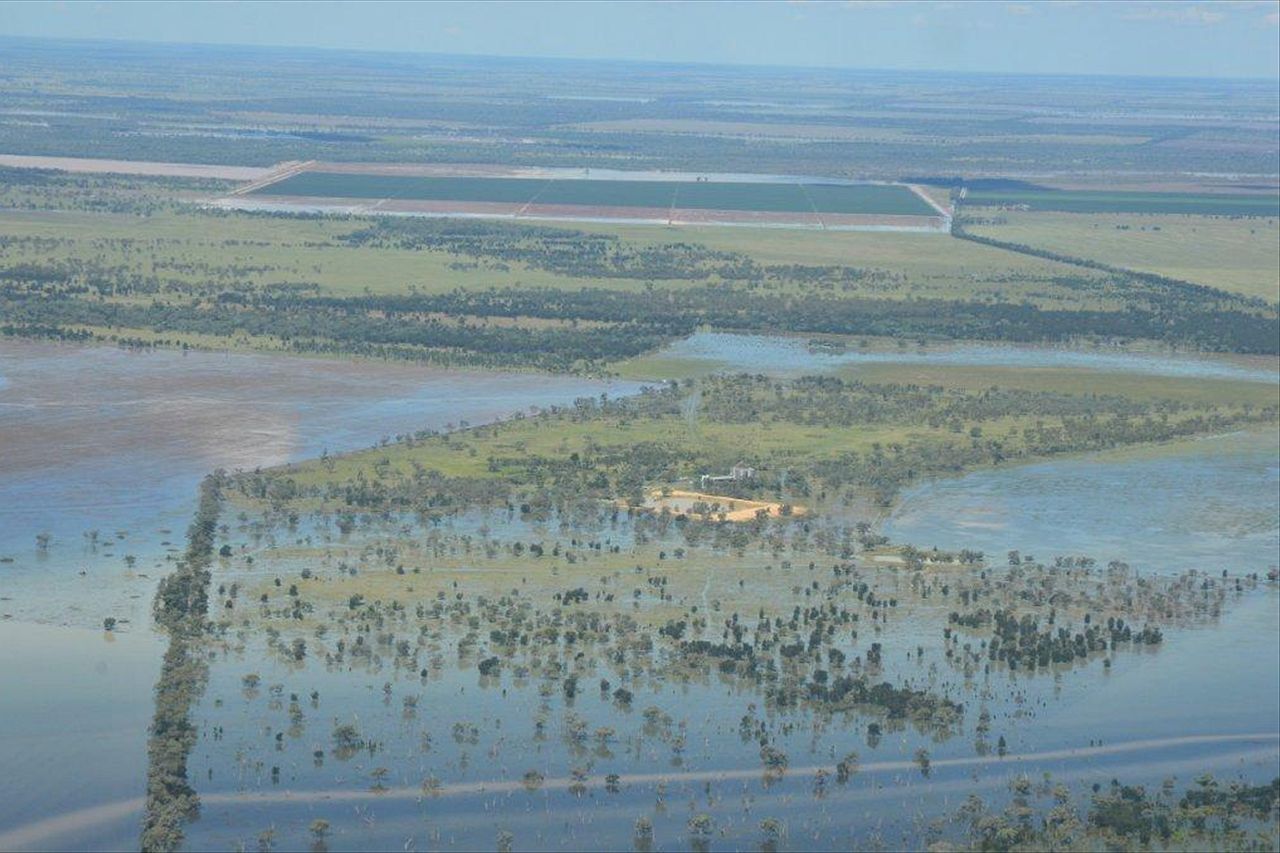 Flooding raises concerns about the blackdog - ABC News