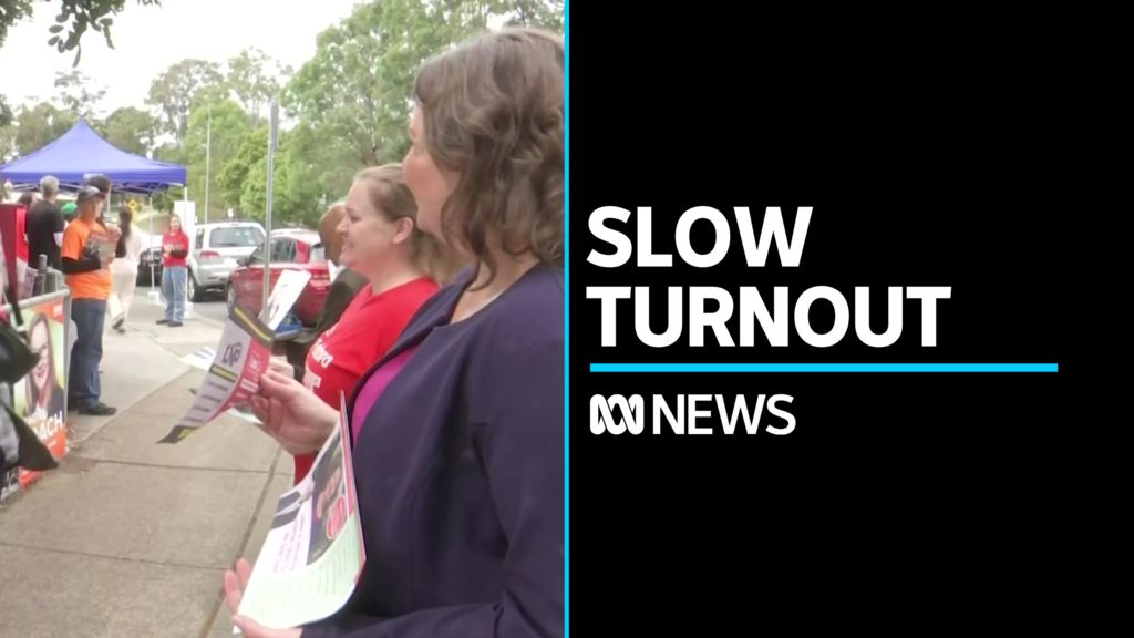 Footage shows the python swallowing a wallaby in far north Queensland ...