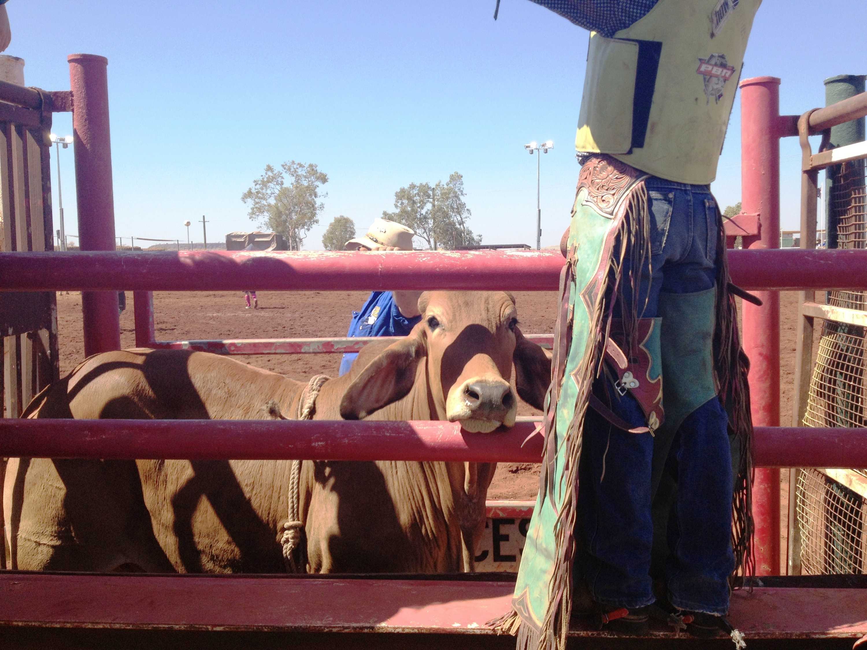 Red dirt flies at the 19th annual Robe River Rodeo in Pannawonica - ABC ...