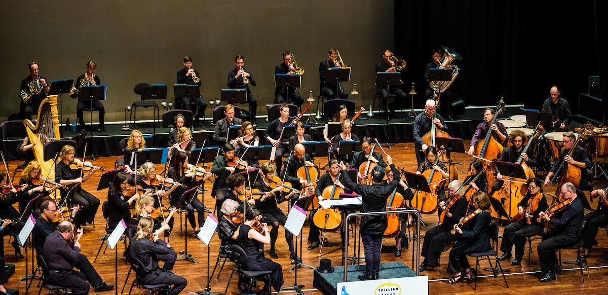 What it takes to audition for an orchestral position - ABC listen