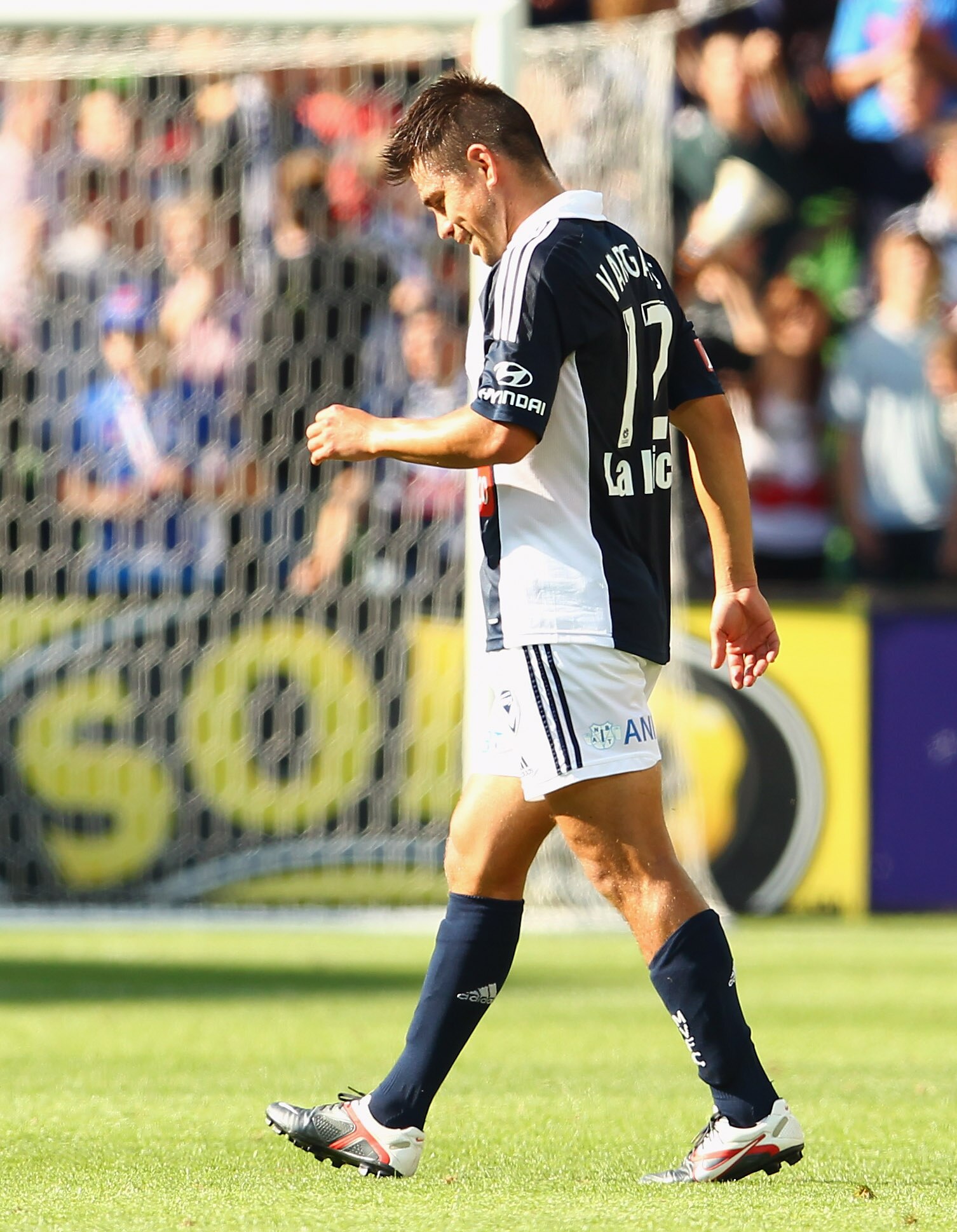 Victory lose Vargas for two weeks - ABC News