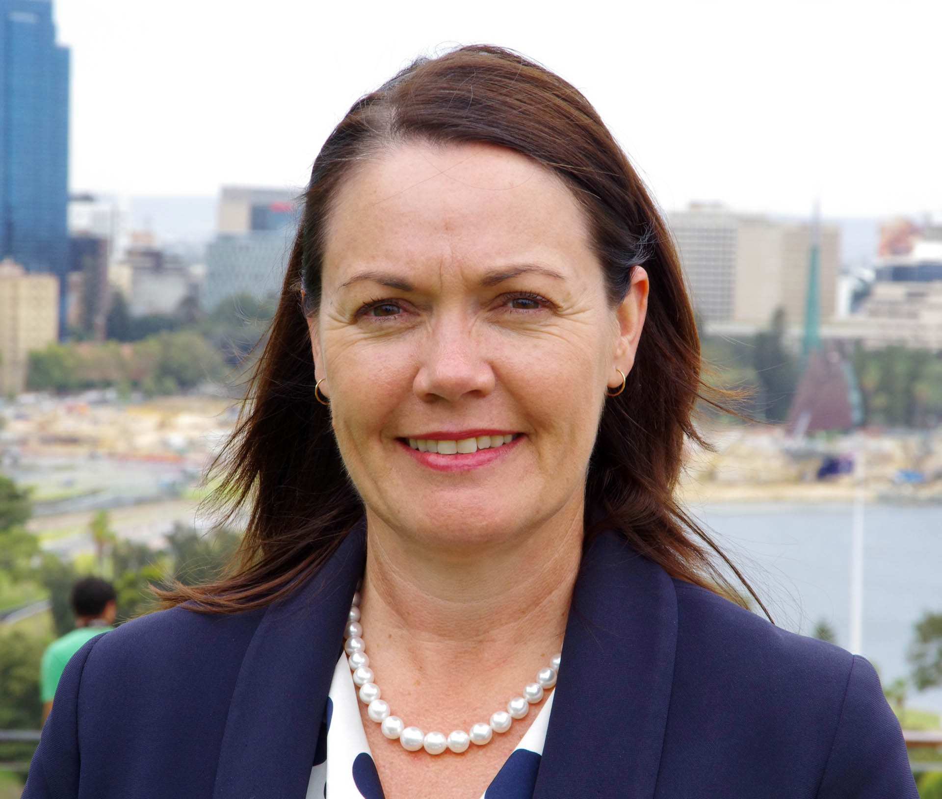 Newly elected WA Liberals leader Liza Harvey reflects on her rise to ...