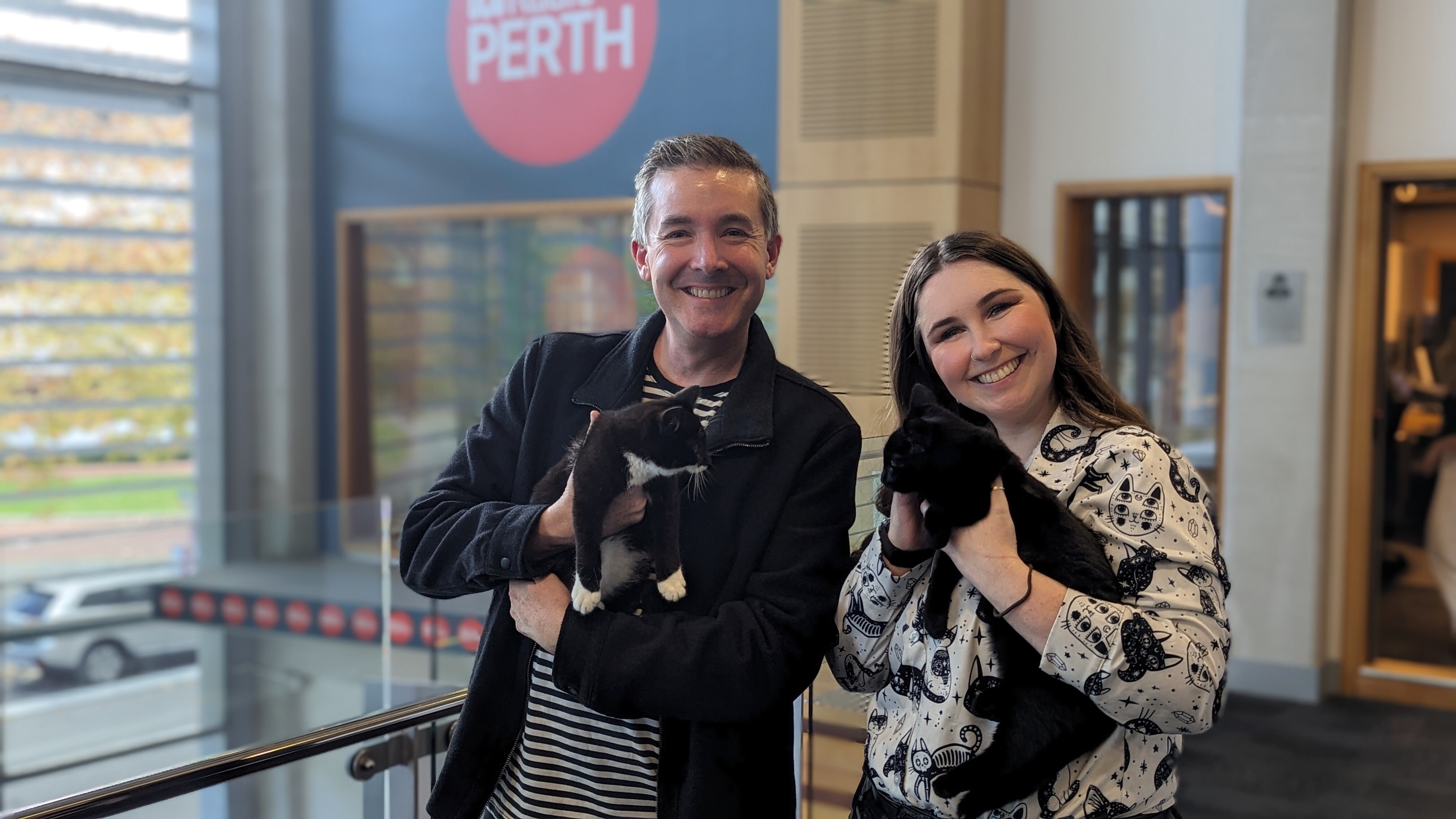 Cat Haven's kitten cuddles an antidote to loneliness in aged care - ABC ...