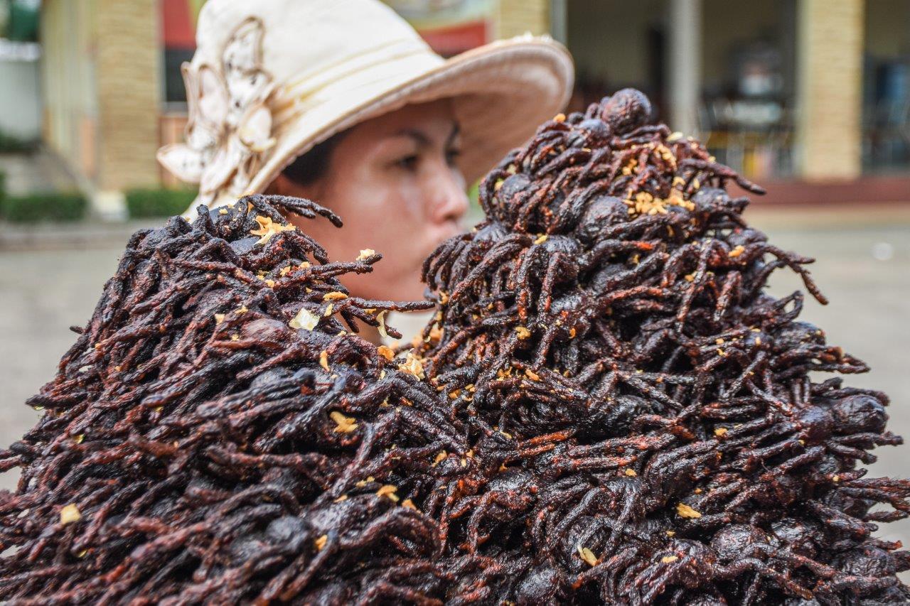 Inside Cambodia's tarantula snack trade - ABC News