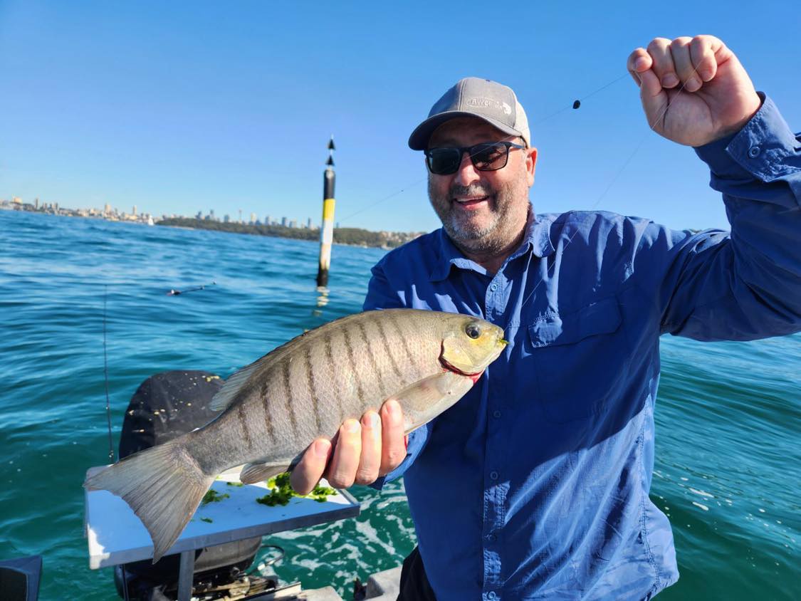 The Big Fish - ABC listen