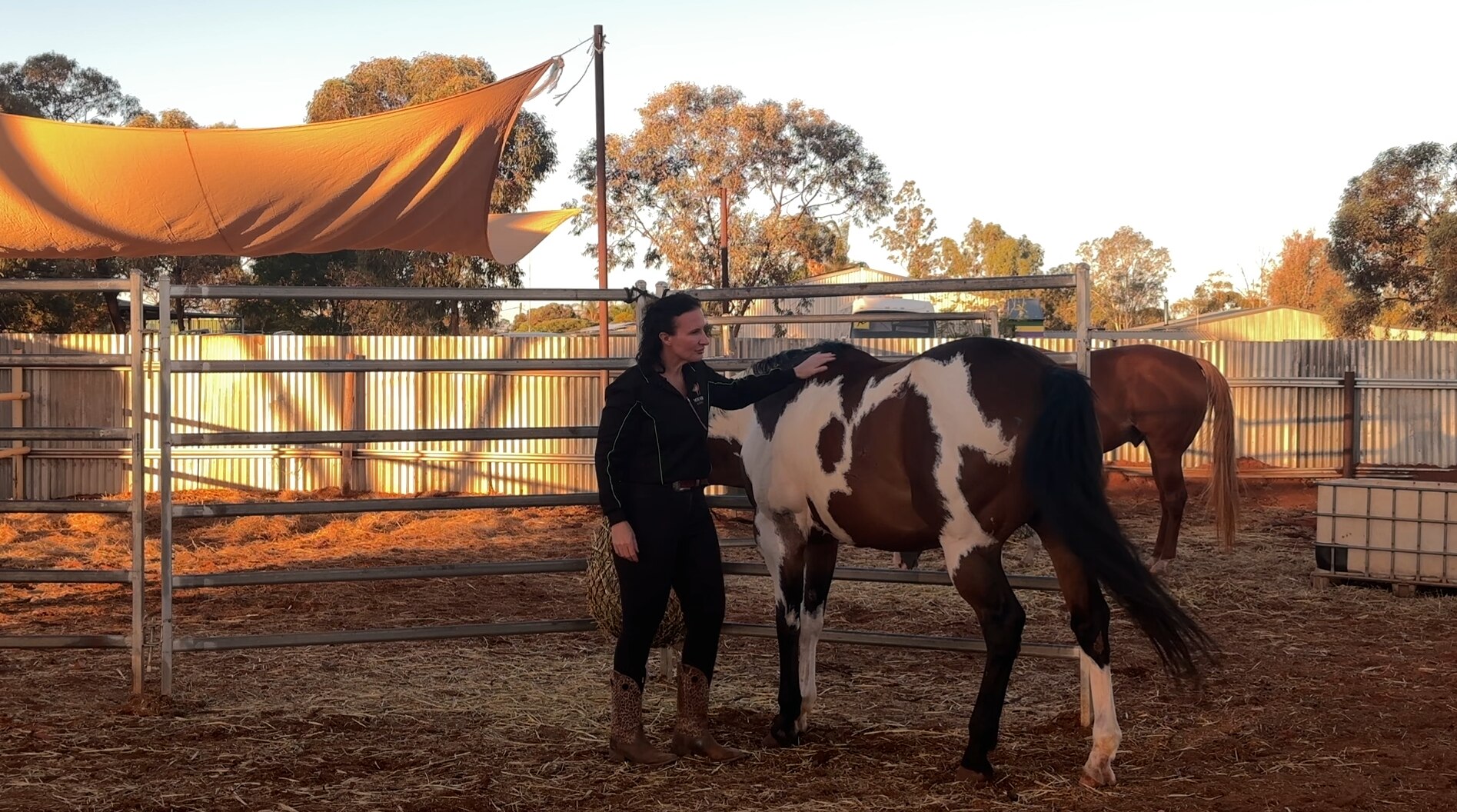 Parents turn to equine therapy for children with autism, ADHD as ...