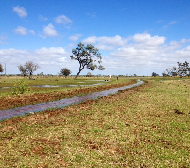 Queensland Government commits $8 million to Great Artesian Basin ...