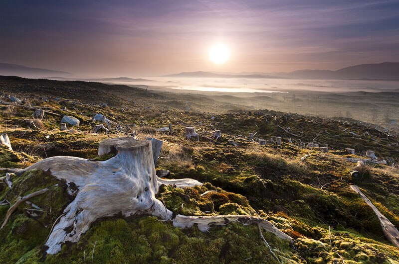 Adventures in the Anthropocene - ABC listen