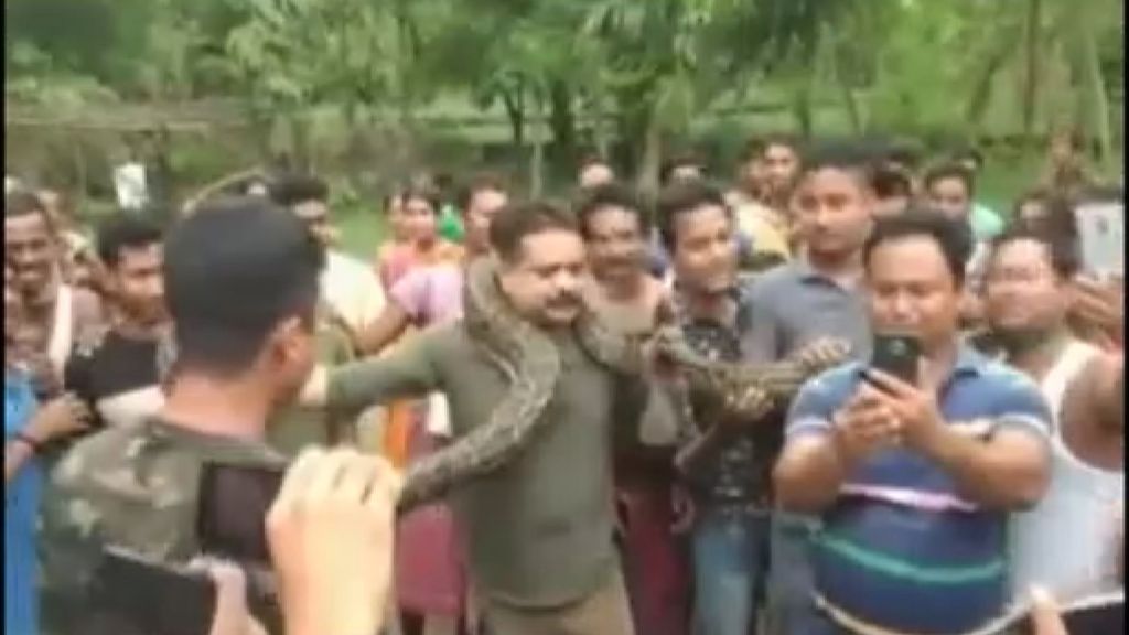 Rescued python tries to strangle selfie taker - ABC News