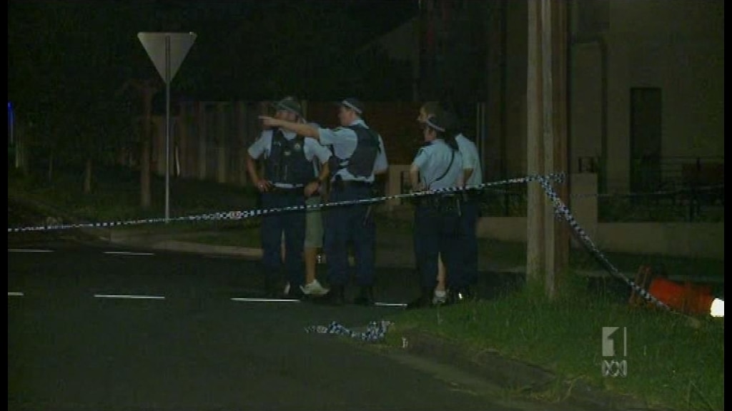 Homes targeted in shooting attacks - ABC News