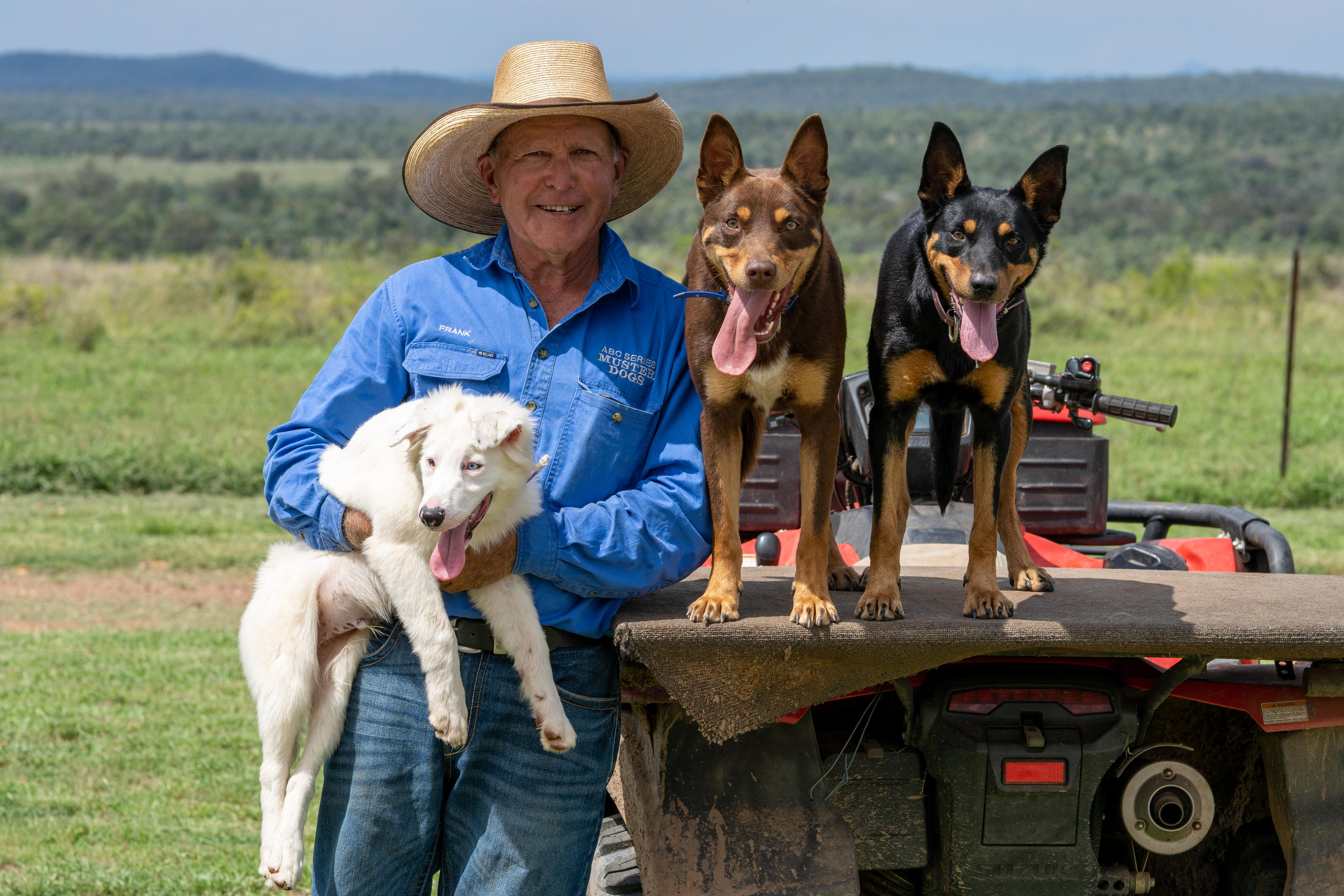 Muster Dogs stars catch us up on life since the series - ABC News