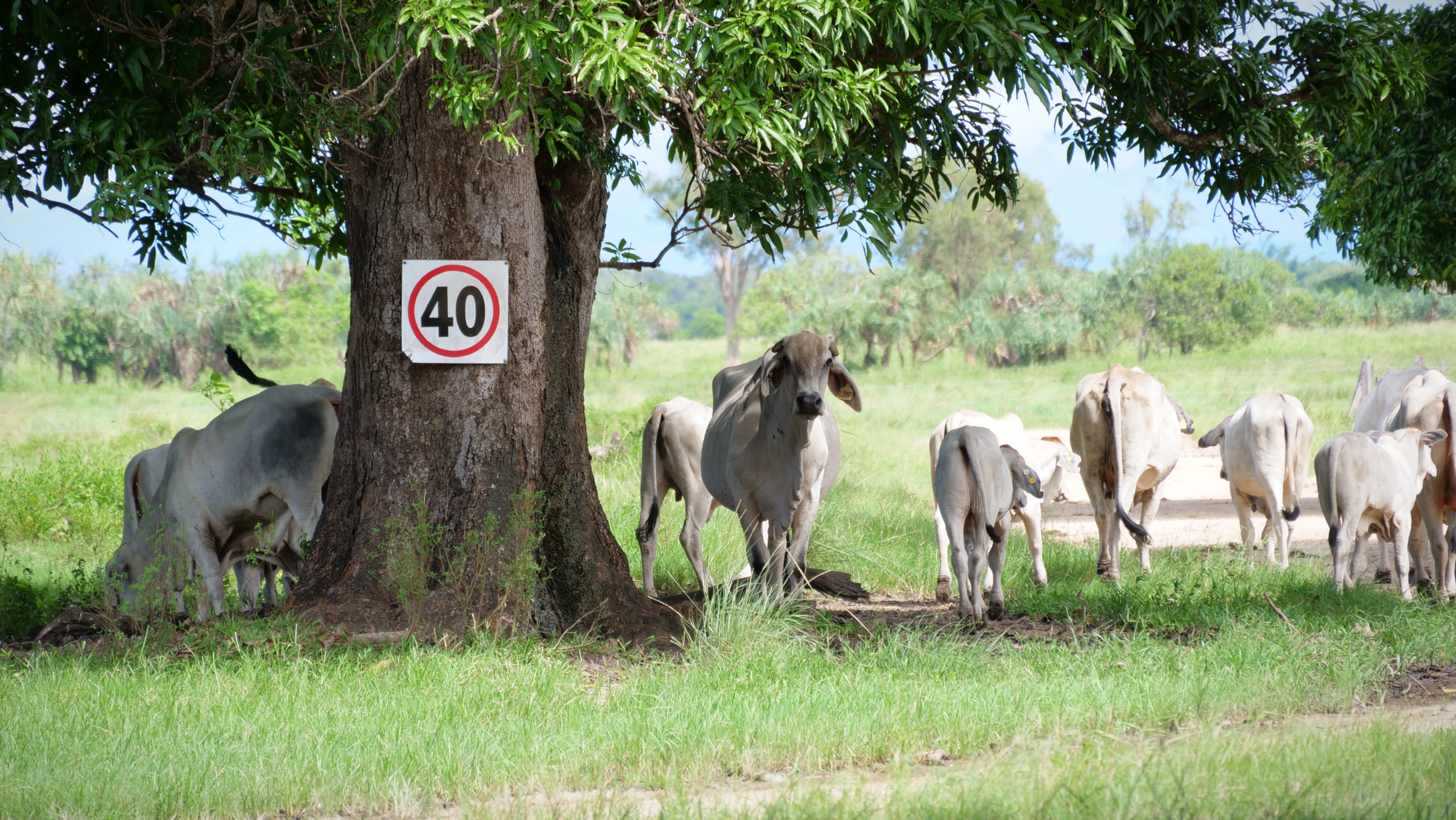 Traditional owners want greater focus on Indigenous issues after failed ...