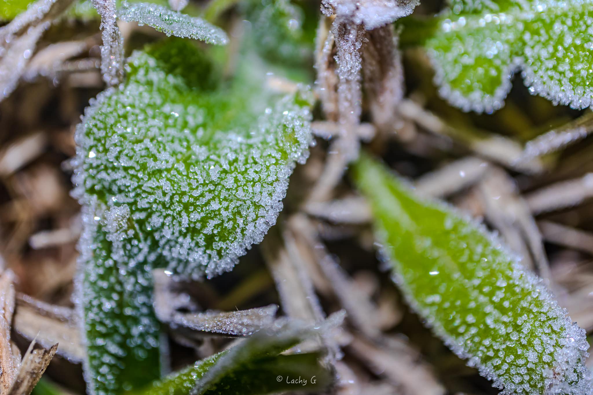 Cold weather sends temperatures below zero, breaks records in parts of ...