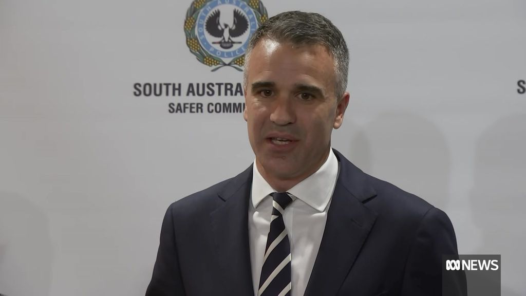 SA Premier provides update following incident involving son of SA ...