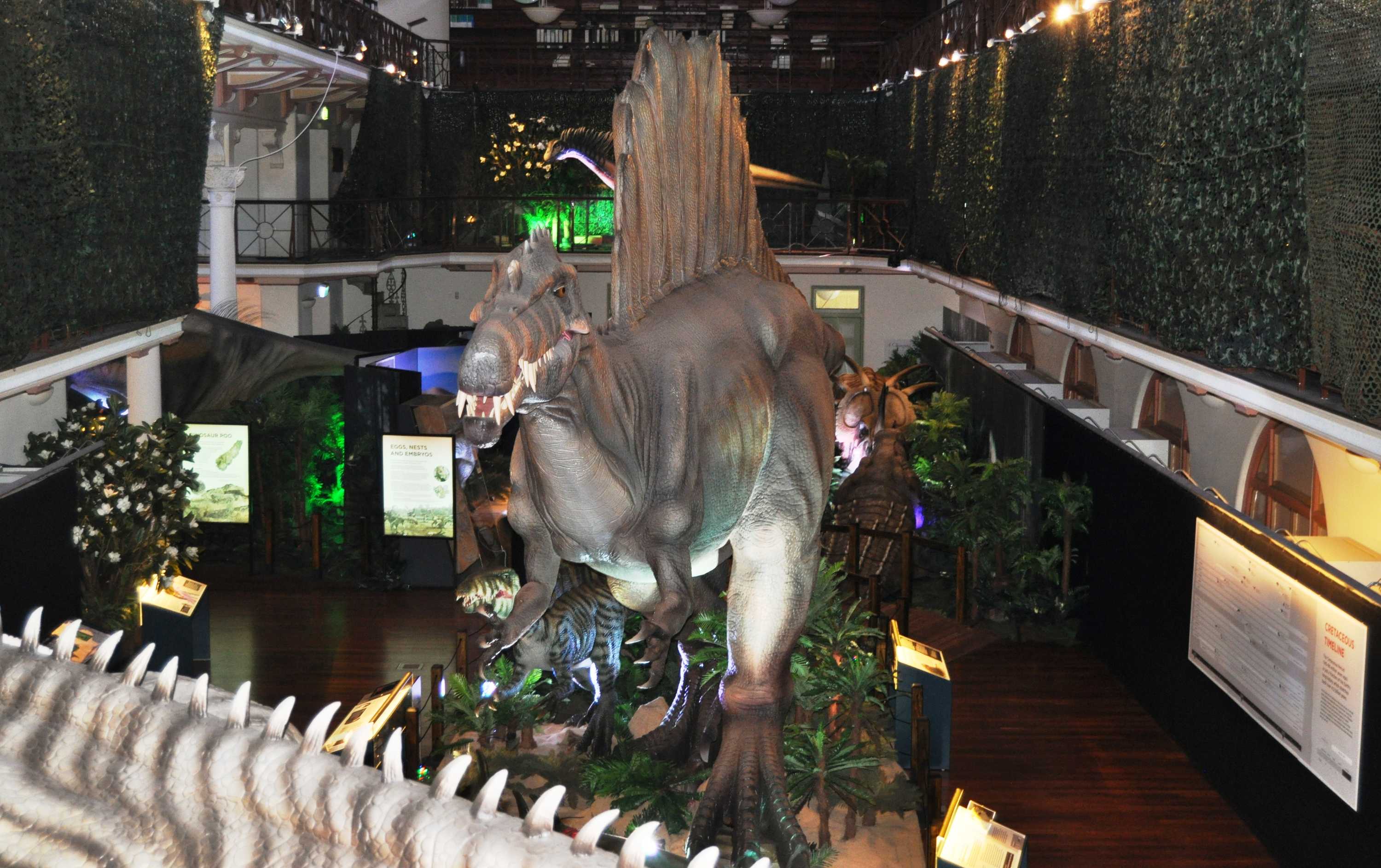 Dinosaurs roaring in Perth - ABC listen