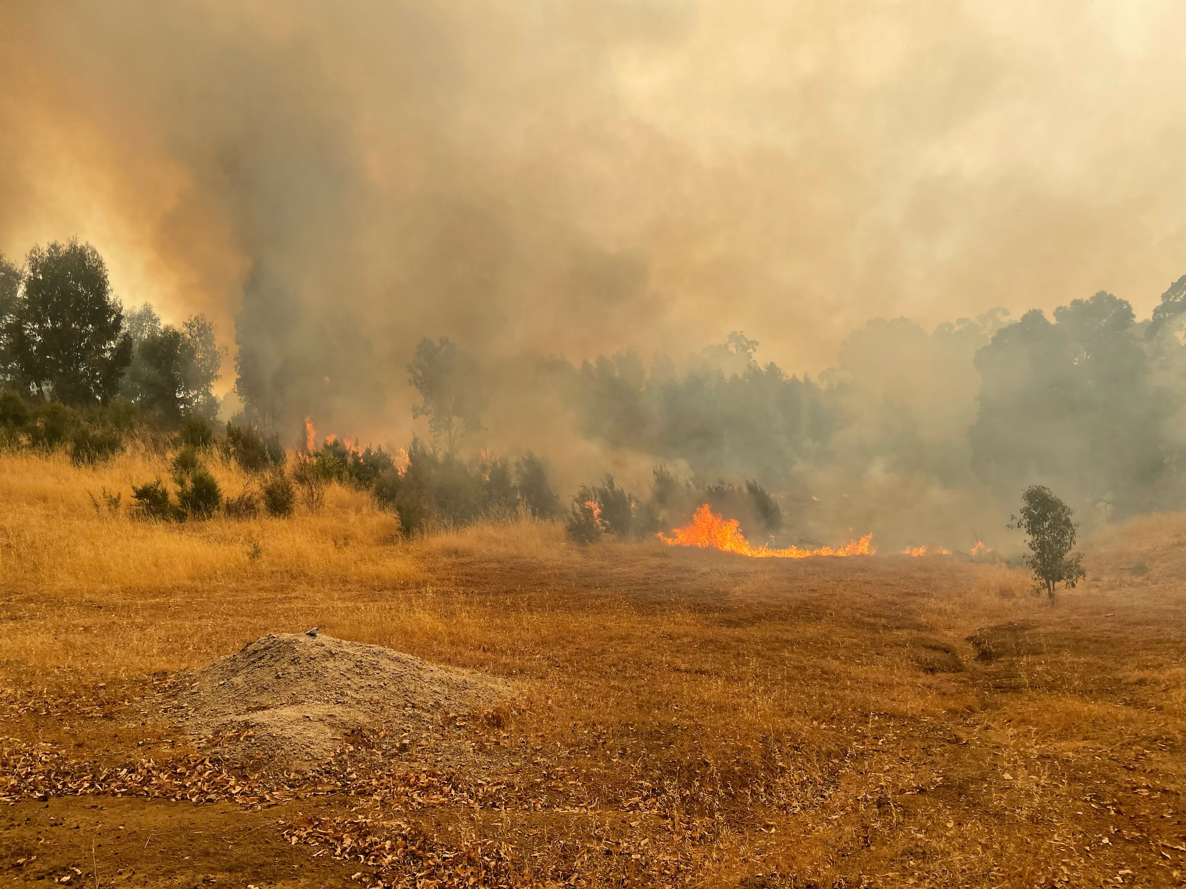 Renewed fire emergency for South West WA on second day of fighting ...
