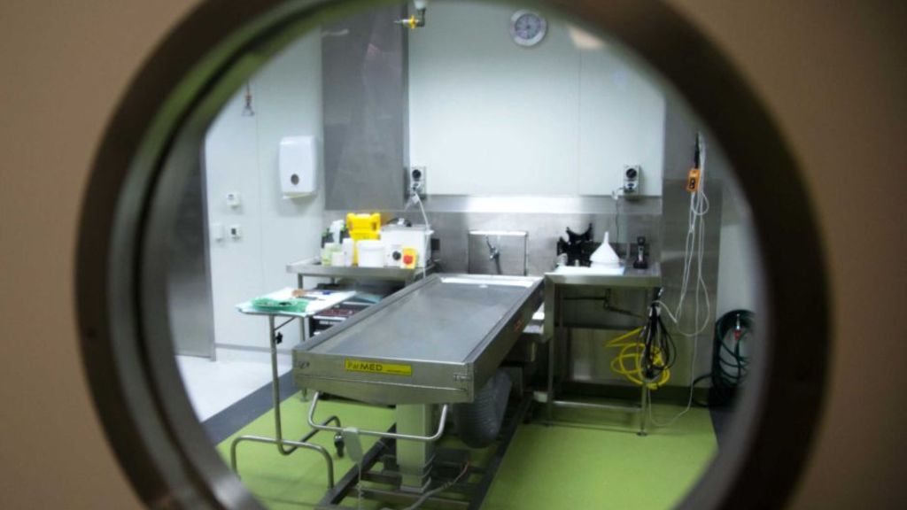 Stories from the morgue: Inside the life of a forensic counsellor - ABC ...