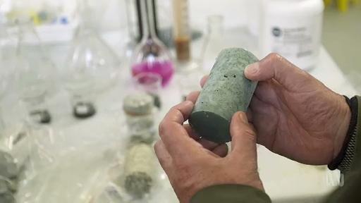 Catalyst: Can seaweed be a sustainable building material? - ABC Education