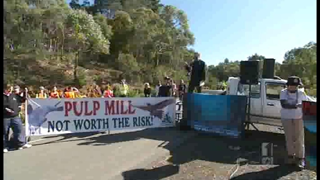 Protesters voice anger over pulp mill plan - ABC News